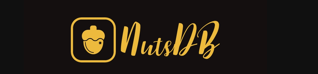 Hello NutsDB | NutsDB Documents